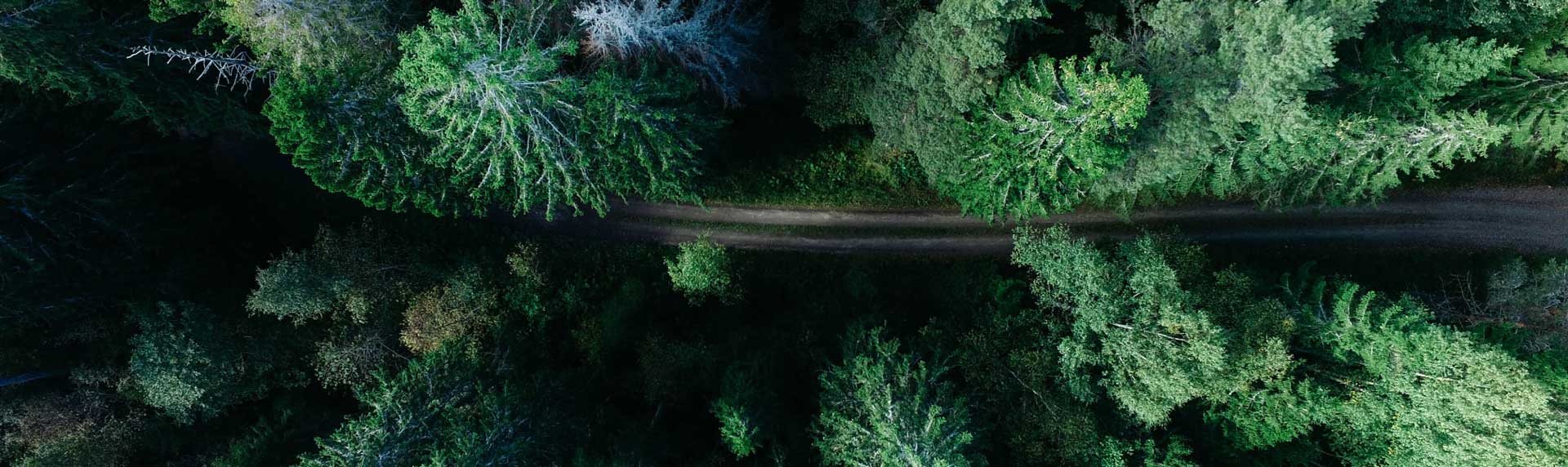 Notre siège La Canopée • Nature & Découvertes